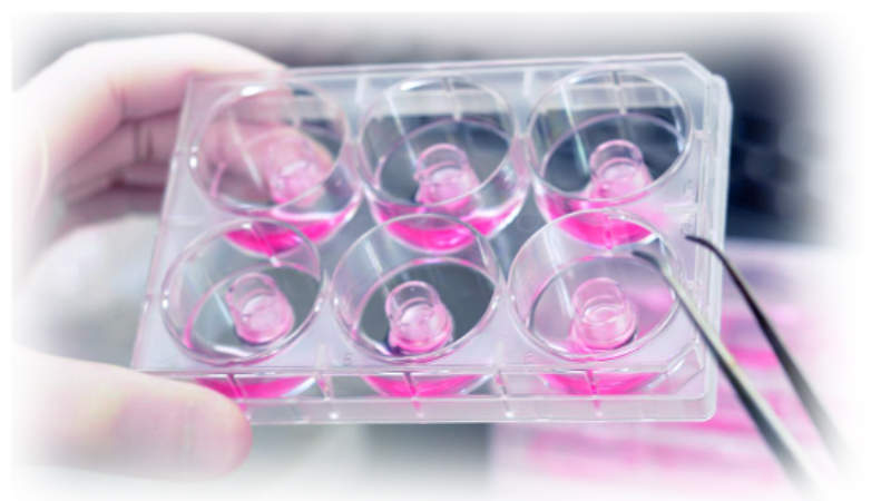 Medical Device Biological Evaluation - Pharmaceutical Technology