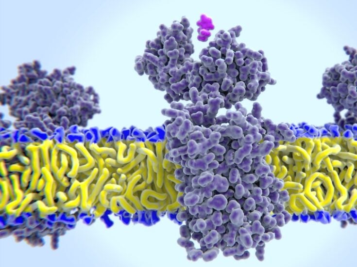 FDA approves first non-controlled substance narcolepsy drug ...