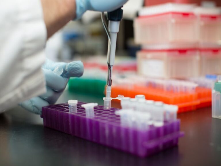 Novartis partners with Sangamo on genomic therapies - Pharmaceutical ...