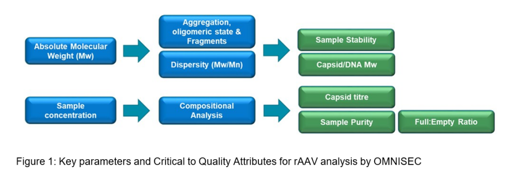 The importance of multi-detection SEC in gene therapy - Pharmaceutical ...