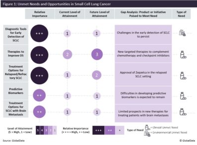 Unmet needs and opportunities in small cell lung cancer ...