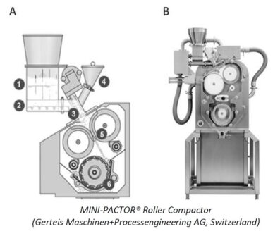 The influence of roller compactor process parameters on granule ...