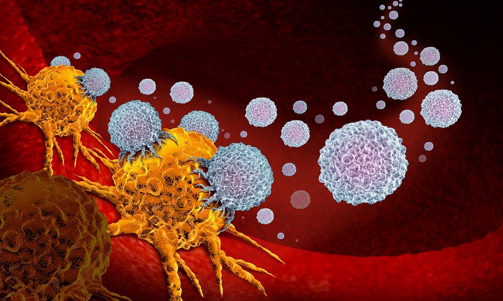 The competitive landscape of neoantigen-targeting therapeutics in ...