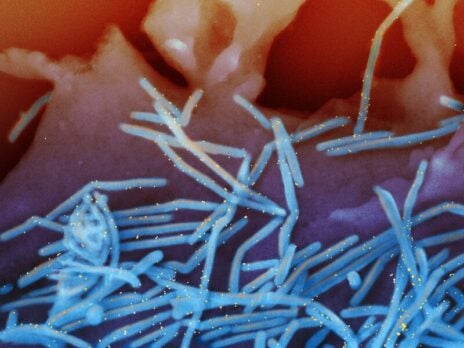 FDA grants breakthrough therapy designation for Pfizer’s RSV vaccine