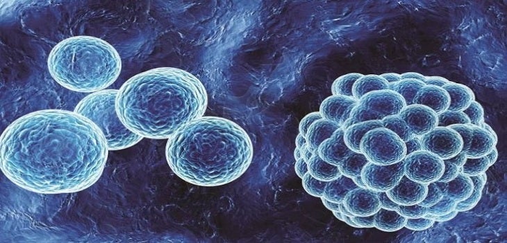 Innovations in Pharma Sector - Pharmaceutical Technology