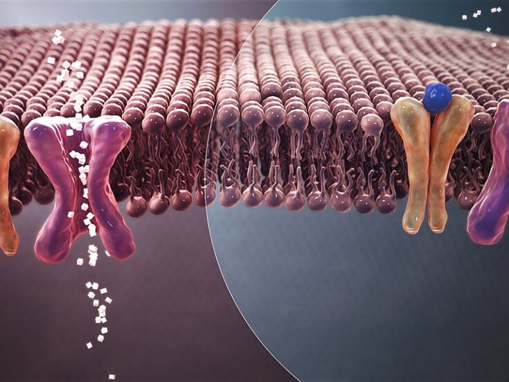 Pharming acquires North American commercialisation rights for Ruconest ...