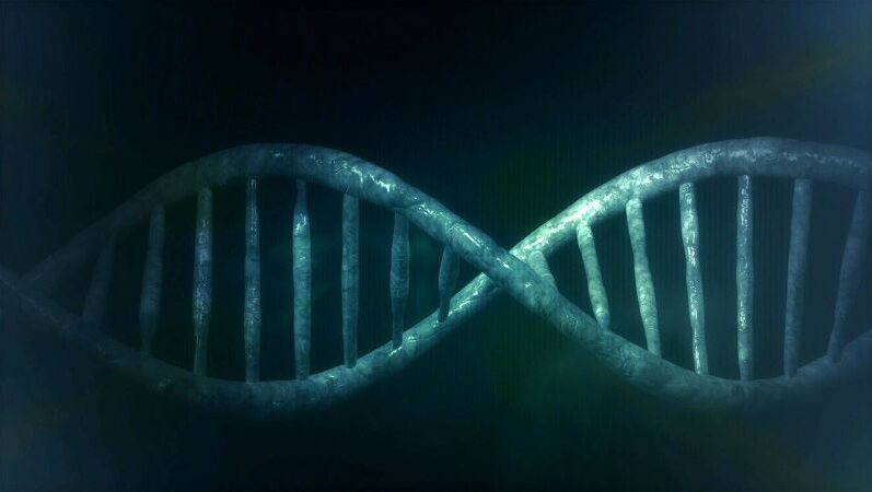 Coave and ABL partner to develop gene therapy manufacturing processes ...