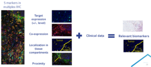 How to integrate IHC biomarkers for more effective clinical development ...