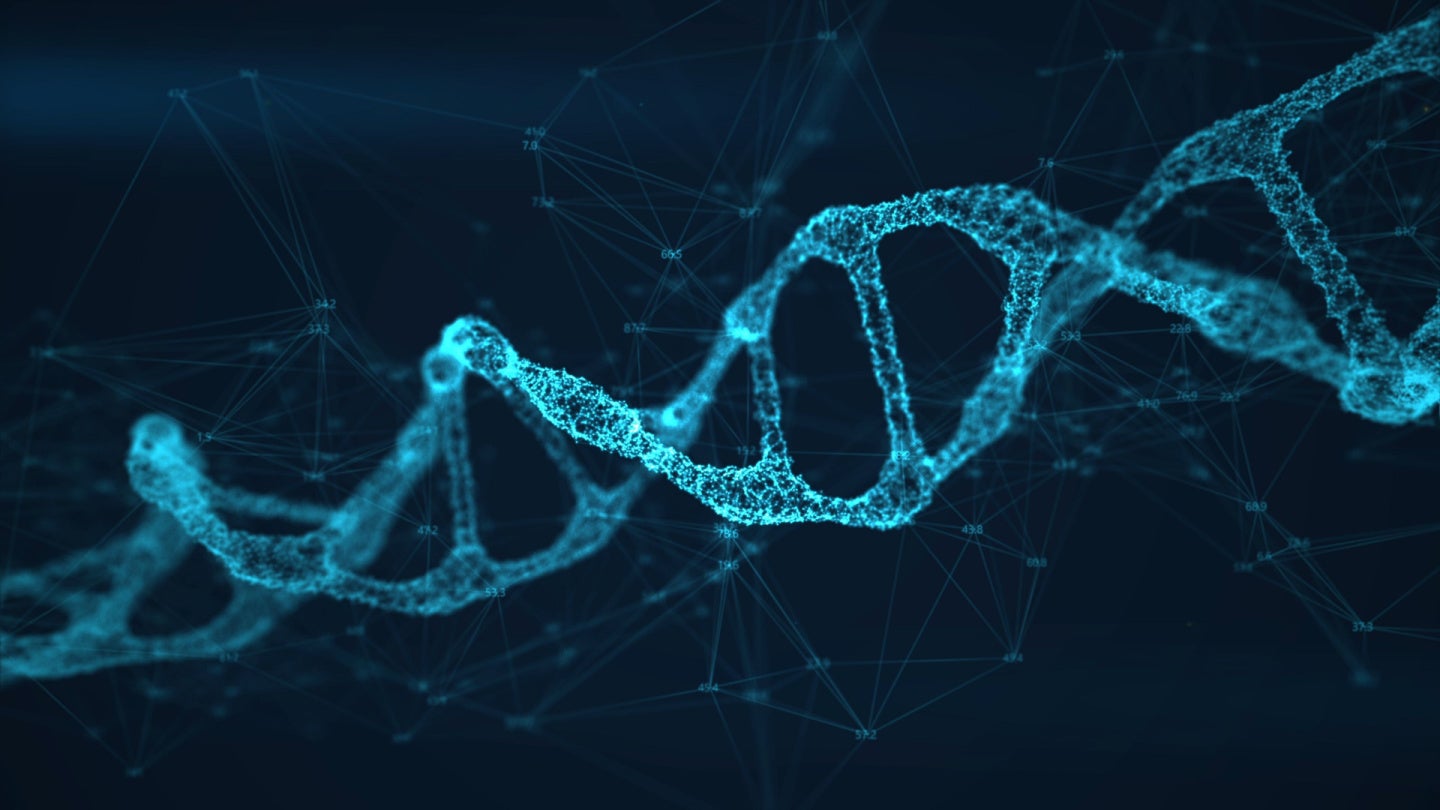 Who are the leading innovators in nucleic acid active pharmaceutical ...