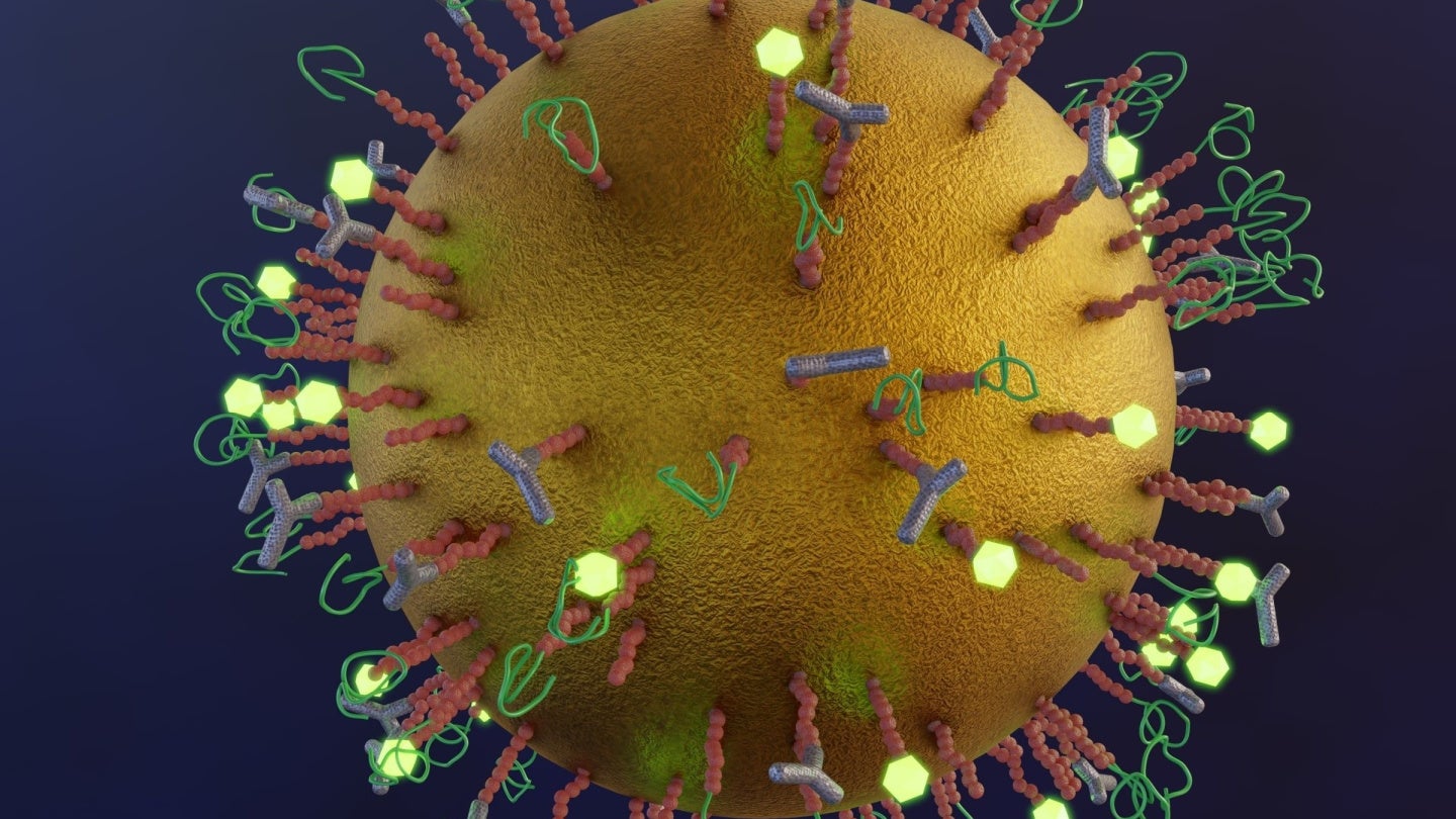 Who are the leading innovators in peptide nano-particle conjugates for ...