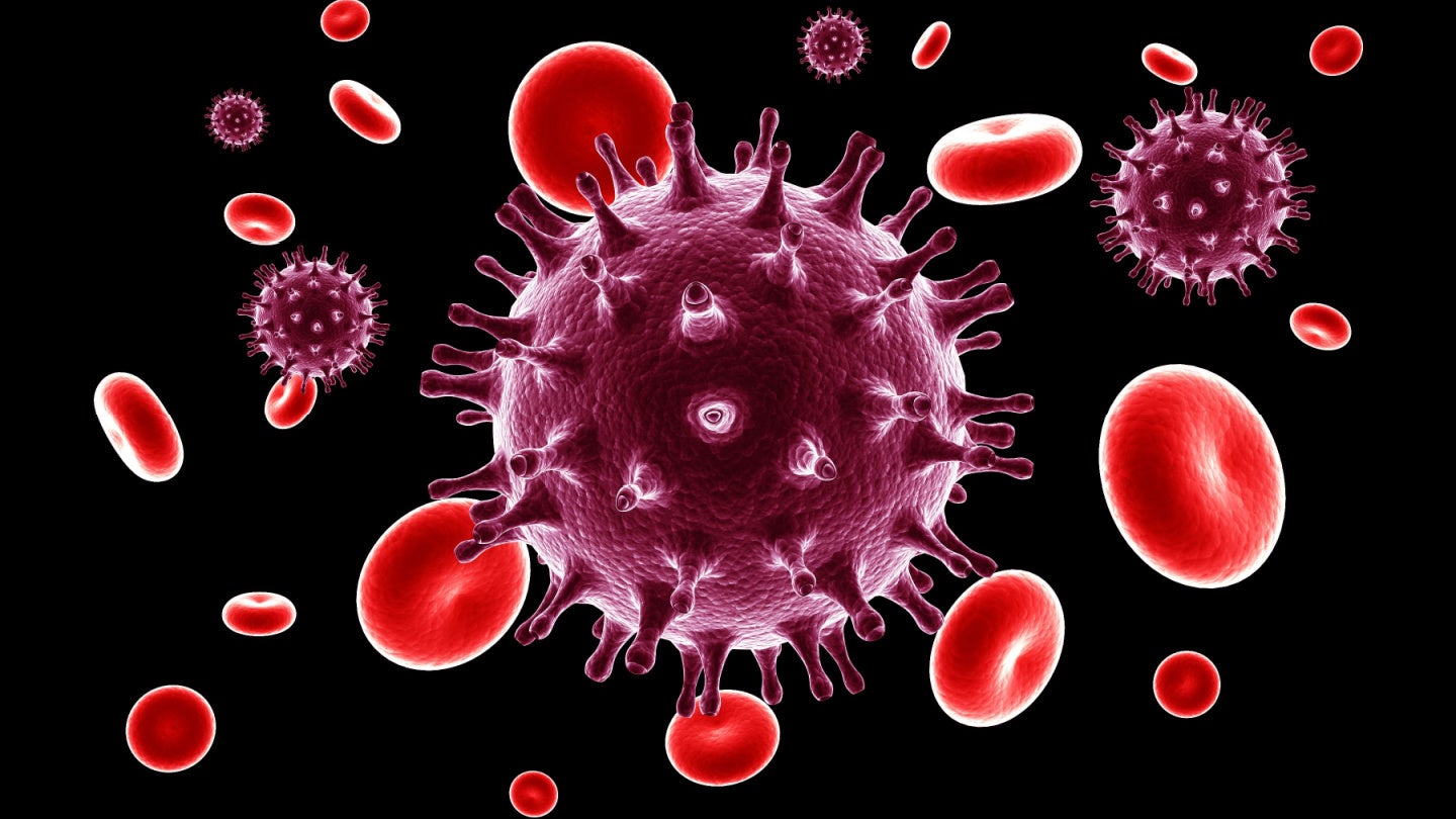 Who are the leading innovators in modified vector HIV-1 vaccines for ...