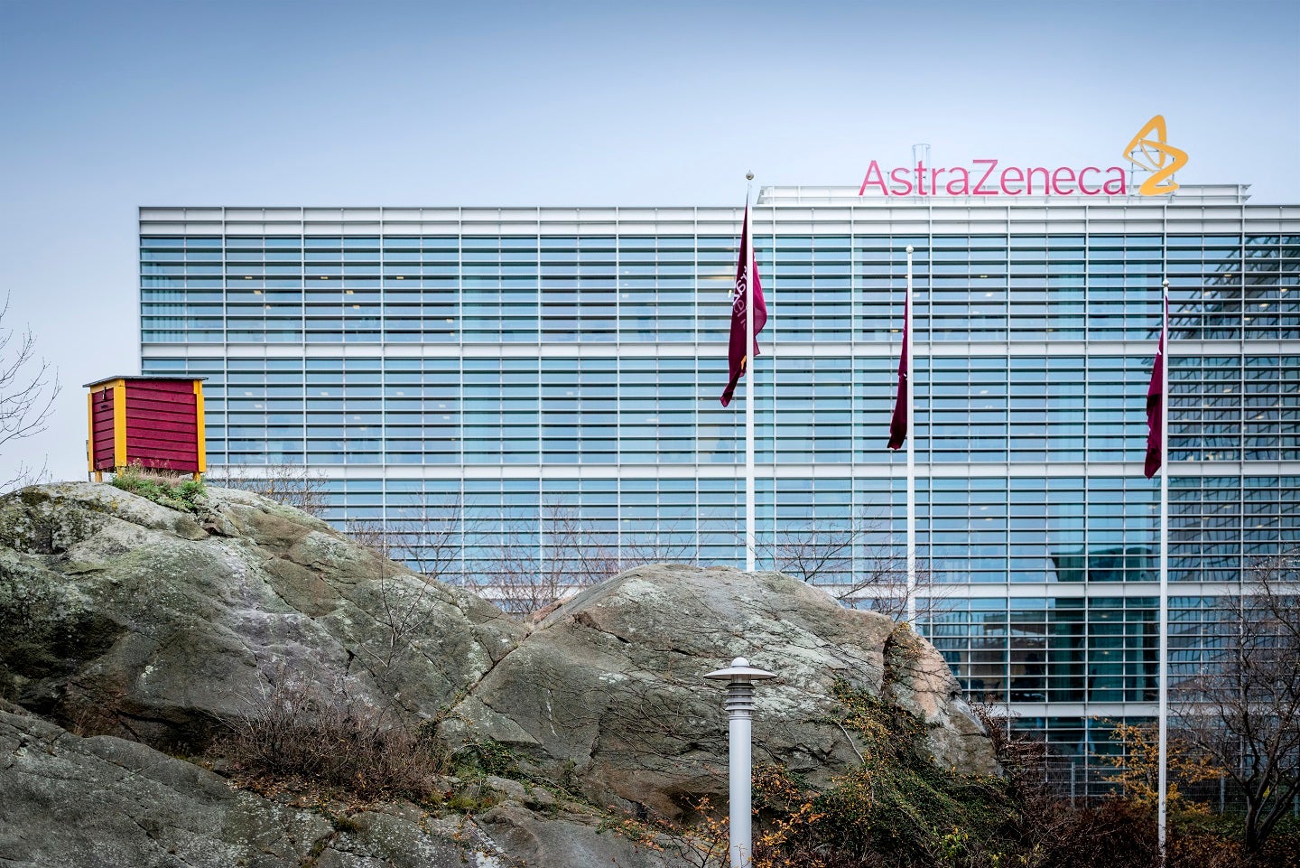 FDA grants priority review to AstraZeneca’s Imfinzi sBLA for MIBC